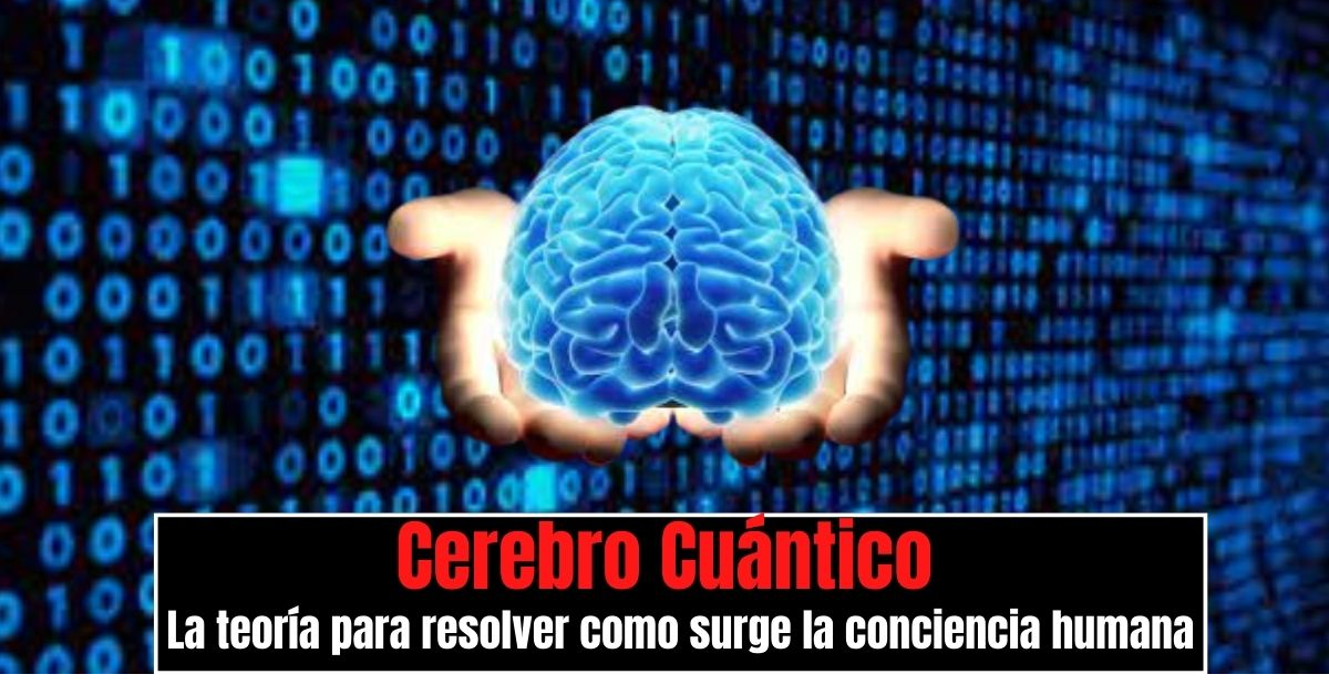 Threefast | Cerebro cuántico podría resolver el misterio de la ...